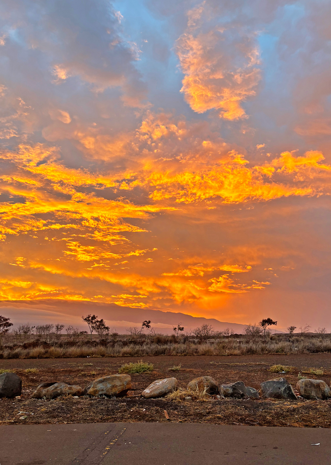 Photo of the Day: Screaming sky at dusk | News, Sports, Jobs - Maui News